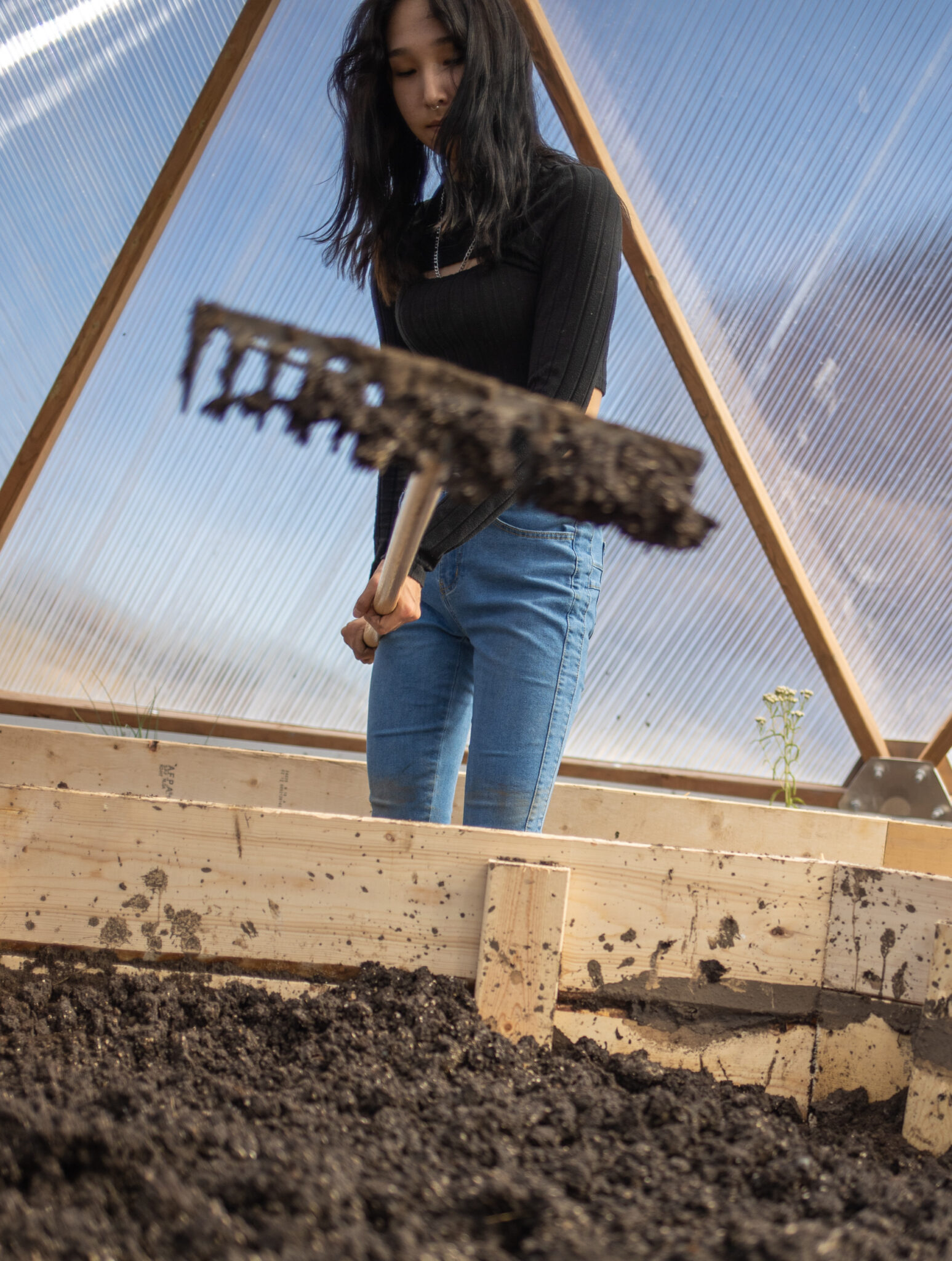 Inuvialuit Greenhouse Food Security Initiative | Inuvialuit Regional ...