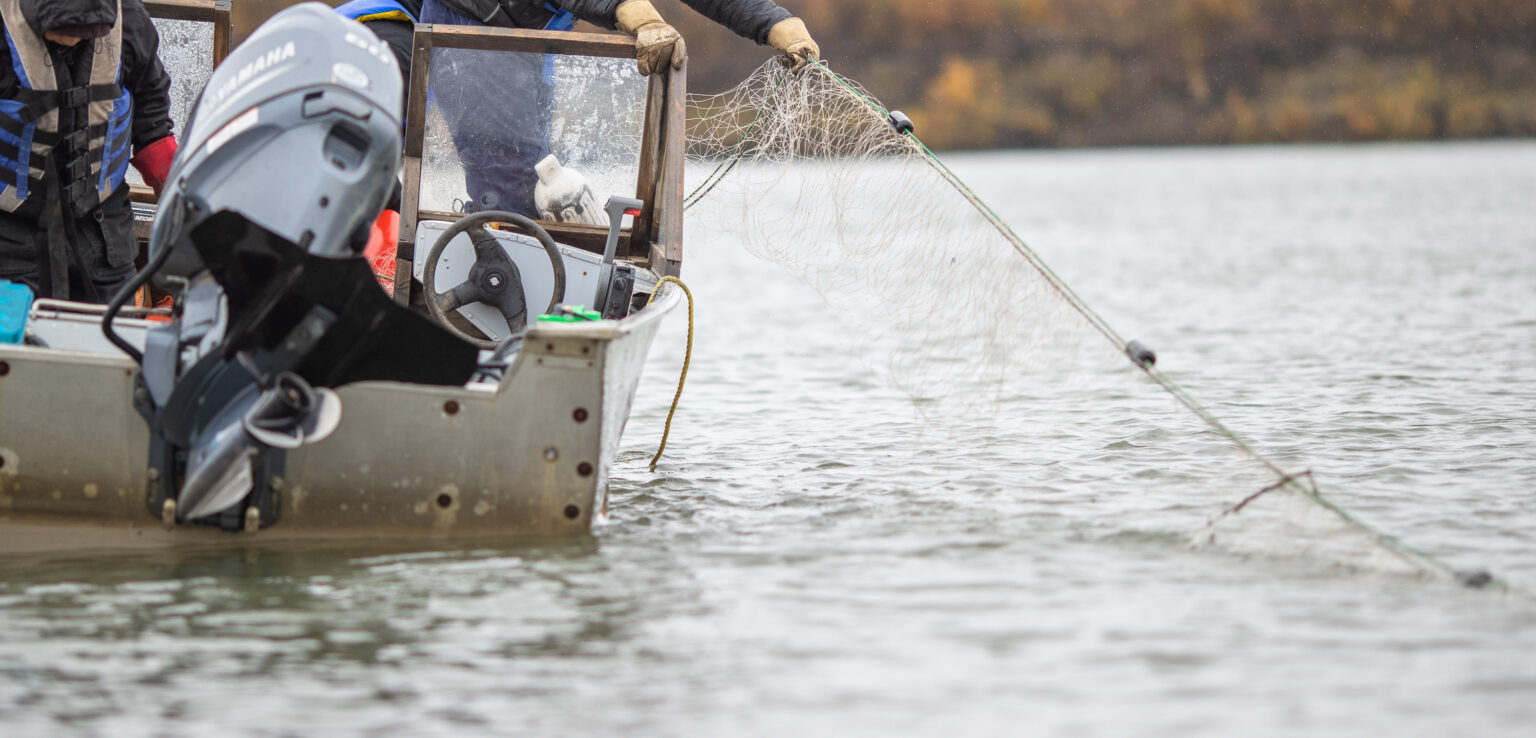 News | Inuvialuit Regional Corporation